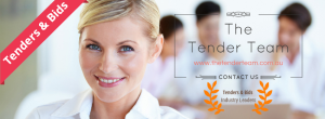Expert Tender Writing Services | Helping You Win | The Tender Team